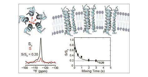 Sars Cov 2 Envelope Protein Forms Clustered Pentamers In Lipid Bilayers Biochemistry