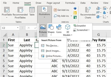 Inserting Images In Excel Worksheets Learn Excel Now