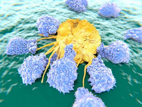 Cancer Et Lymphocytes T Cytotoxiques Illustration De Vecteur