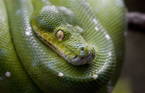 Typische Fehler In Python Code Vermeiden Linuxcommunity