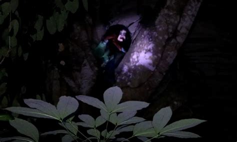 Inilah Wujud Hantu Mariaban Dan Hantu Kalimantan Lainnya