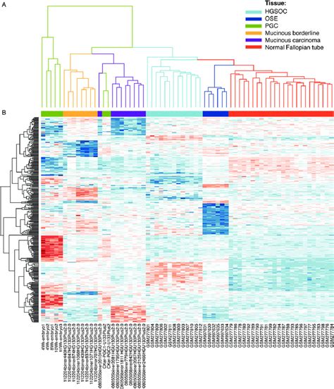 unsupervised hierarchical clustering of pgcs and ovarian fallopian
