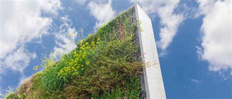 Идеи за озеленяване на малък двор Озеленители