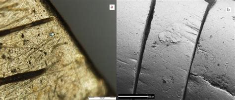 Harnessing Electron Microscope For Trace Evidence Analysis Intechopen