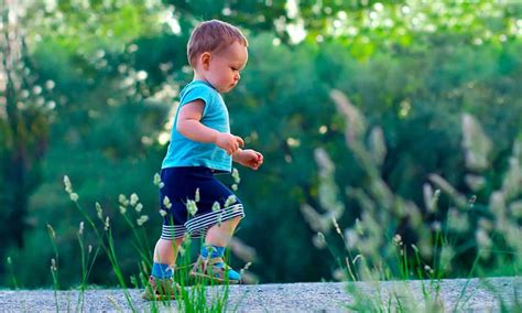 Evolución Del Desarrollo Psicomotor Del Niño Formainfancia