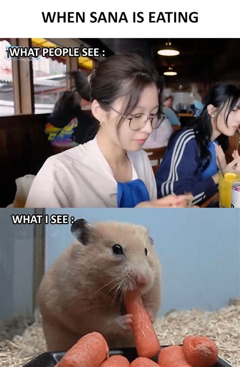Its Just A Hamster Eating 🐹😆 Rtwicememes