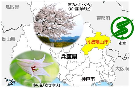 《自治体とプロ野球球団がコラボ～そのワケは》丹波篠山市が自治体で異例の冠ナイターを実施 自治体通信オンライン