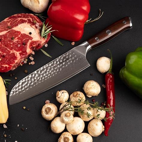 Haggel Professional Steel Ricasso Chef Knife Home And Kitchen