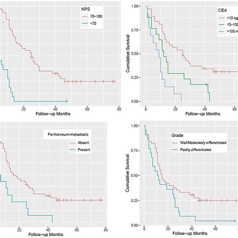 Kaplan Meier Overall Survival For Stage Iv Crc Patients For Different