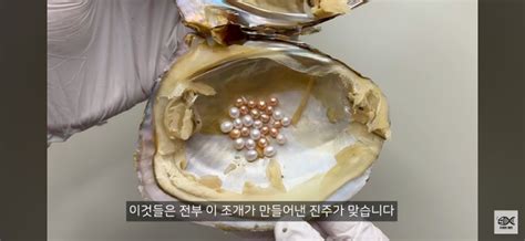 Daum 카페