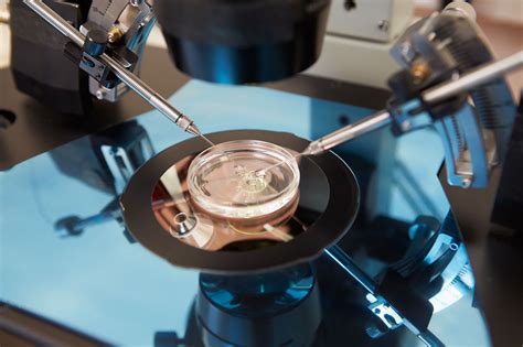 Trump Signs Executive Order Aimed At Expanding Ivf