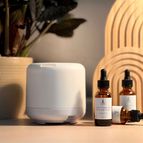 Directional Fragrance Oil Diffuser