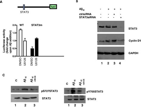 Aβ 42 Triggered Mek Erk Signaling Regulates Cyclin D1 Expression Via