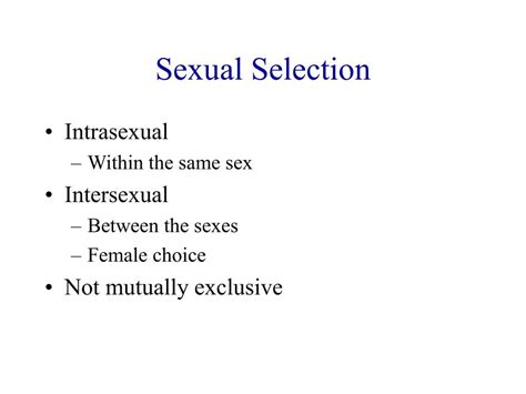 PPT Chapter 3 PowerPoint Presentation Free Download ID 1067103