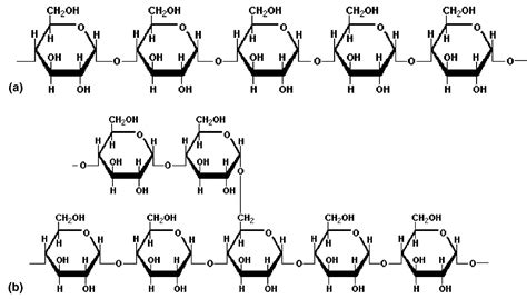 Structure Of A Amylose And B Amylopectin [106]