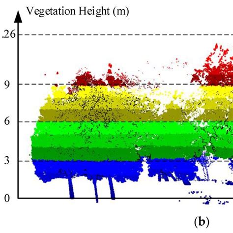 Schematic Diagram Of A Complex Vegetation Coverage Scene Lidar