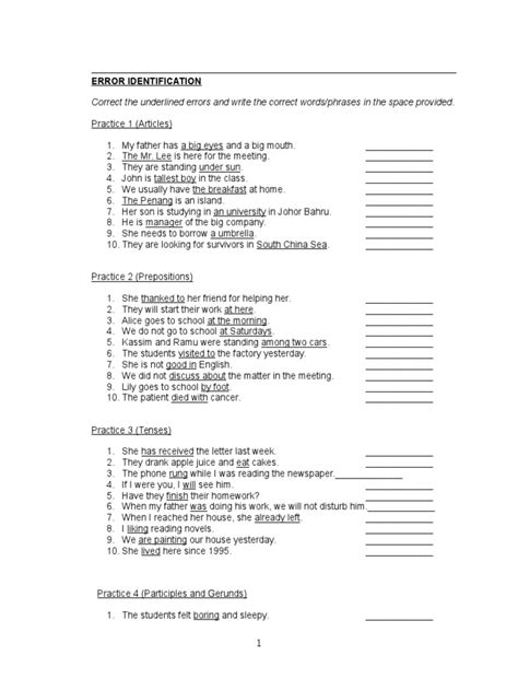 Error Identification Exercises Pdf Linguistic Morphology Linguistics