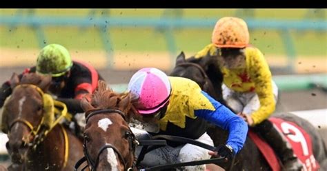 🐴川崎競馬予想🐴｜かずぴー