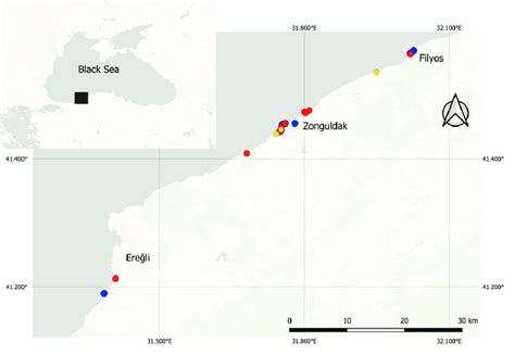 The Area Of The Surveys And The Locations Of The Cetacean Strandings Download Scientific