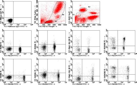 Representative Data Illustrating Analysis Of T Cell Subsets And Download Scientific Diagram