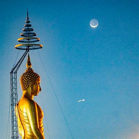 มอมโมฮัย Youtube