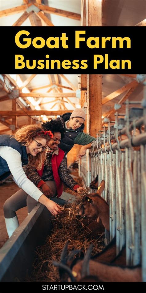 Goat Farming Business Plan Sample Pdf