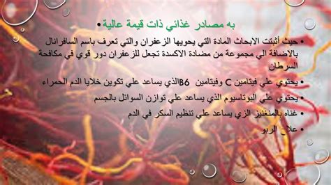 اهمية نبات الزعفران Youtube