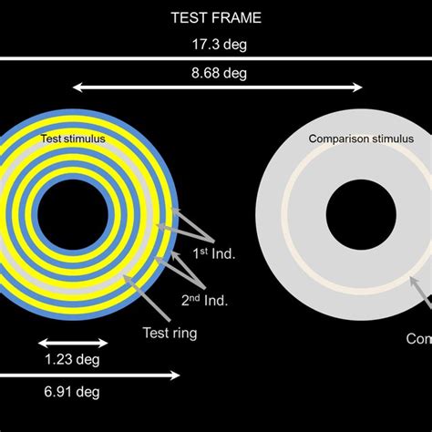 temporal configuration of the stimuli the blank frame was shown during