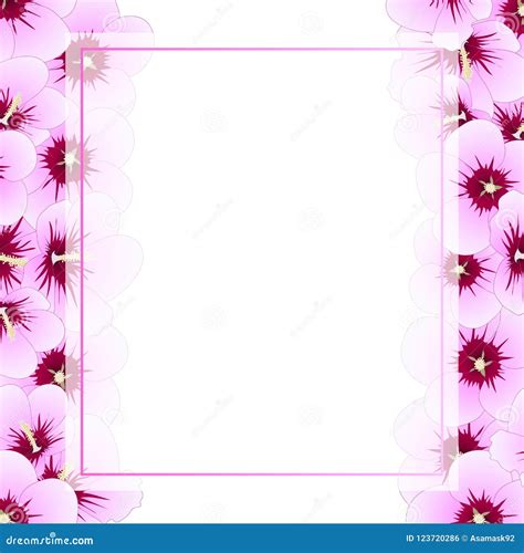 Hibiscus Syriacus Rose Of Sharon Vector Illustration Isolated On