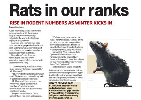 Rats In Our Ranks Exopest Exopest