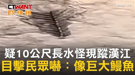 Ctwant 國際新聞 疑10公尺長水怪現蹤漢江 目擊民眾嚇：像巨大鰻魚 Youtube