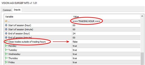 Setting Up The Vision Agi Mt5 Robot Other 25 July 2023 Traders Blogs