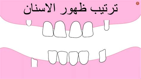 متى يبدأ التسنين عند الرضع ترتيب ظهور الاسنان Youtube