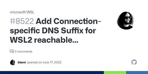 Add Connection Specific Dns Suffix For Wsl2 Reachable Networks To