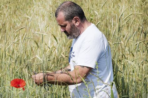 La Rivincita Del Pane Tre Domande A Davide Longoni