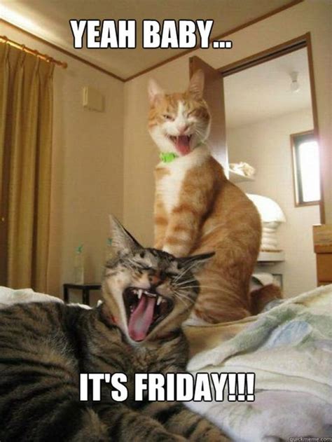 Pin On Friday Memes