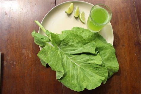 Suco De Couve Para Gastrite Aprenda A Aliviar Em Poucos Minutos Saúdelab
