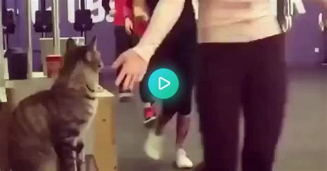 Well Done Hoomann Gimme High Five D Album On Imgur