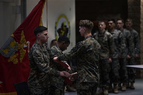 Dvids Images 1st Marine Division Progresses With Scout Platoon Development [image 3 Of 8]