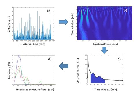 Flowchart Of The Wavelet Based Evaluation Of Nocturnal Activity