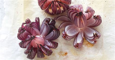 Fleur Doignon Rôtie Recette