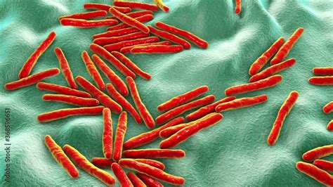 Bacteria Mycobacterium Tuberculosis The Causative Agent Of Tuberculosis 3d Animation Stock