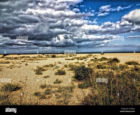 The Strand, Walmer Stock Photo - Alamy