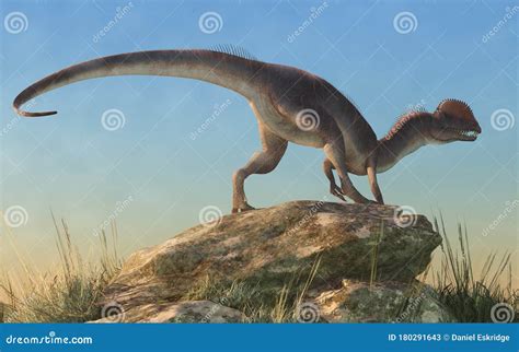 Dilophosaurus Theropod Dinosaur From The Early Jurassic Period 3d