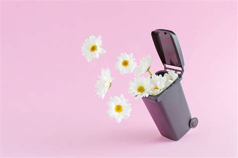 파스텔 핑크 배경에 대 고 쓰레기통에서 날아 흰색 꽃과 창조적 인 자연 개념 미니멀 한 봄과 자연 개념 꽃 식물에 대한 스톡