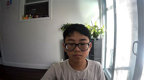 remote hand gestures object detection dataset and pre trained model by