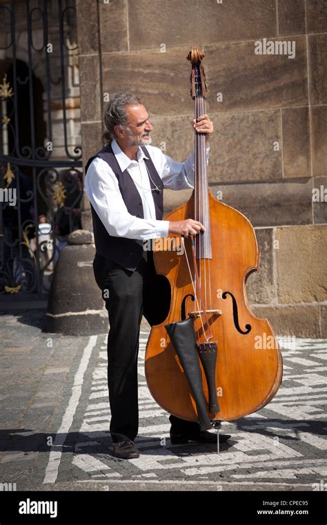 String Bass Player