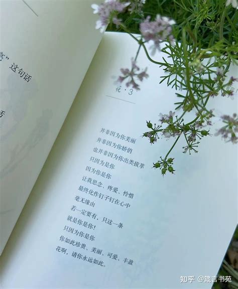 甜甜的小诗集像味蕾的小甜点，慢慢的来品味！ 知乎