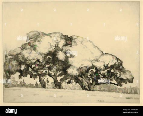 Art Inspired By Drawings And Prints Print Four Live Oaks Artist
