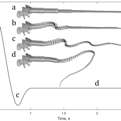 The Degrees Of Rotation With Respect To The X Axis Imposed With The
